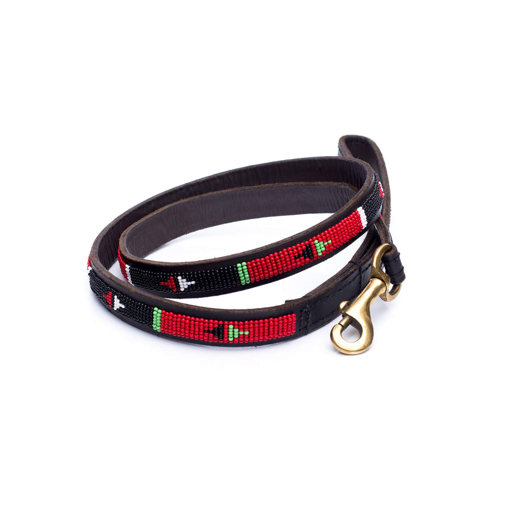 Dog Leads – Puchi