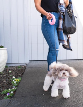 Donut LED Lead – Puchi