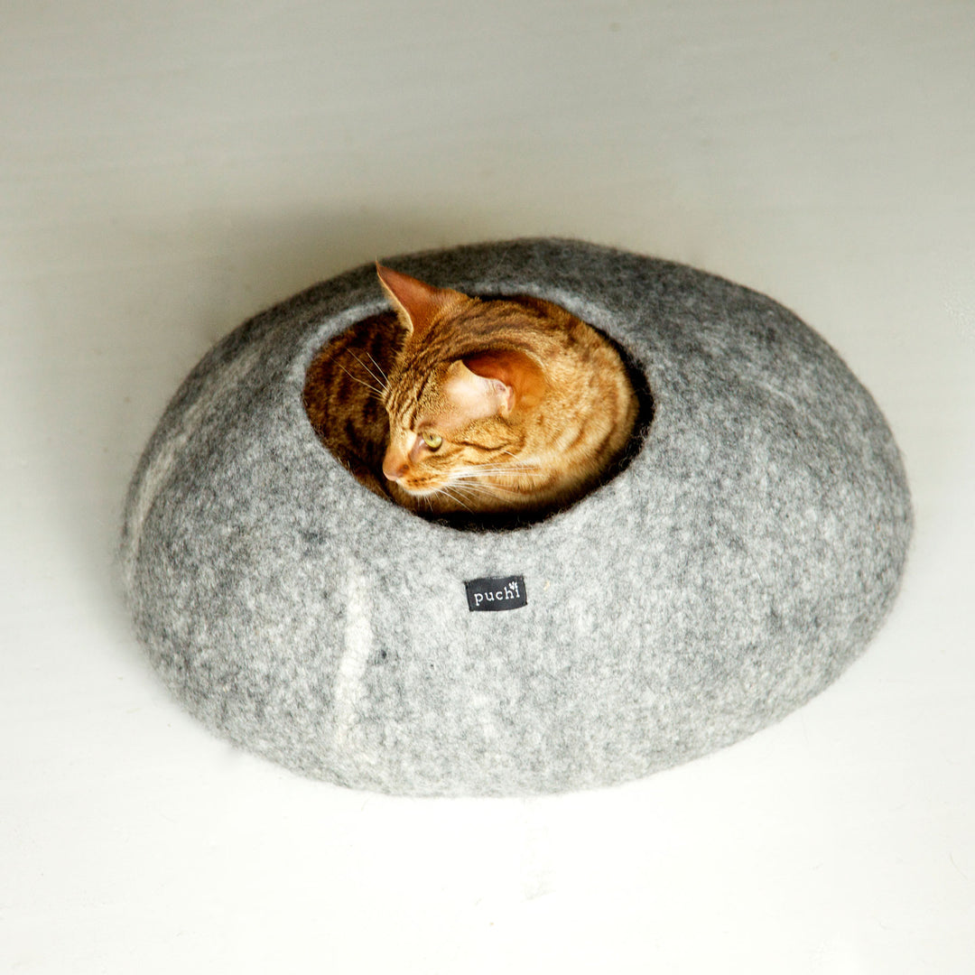 Cat cave – Puchi