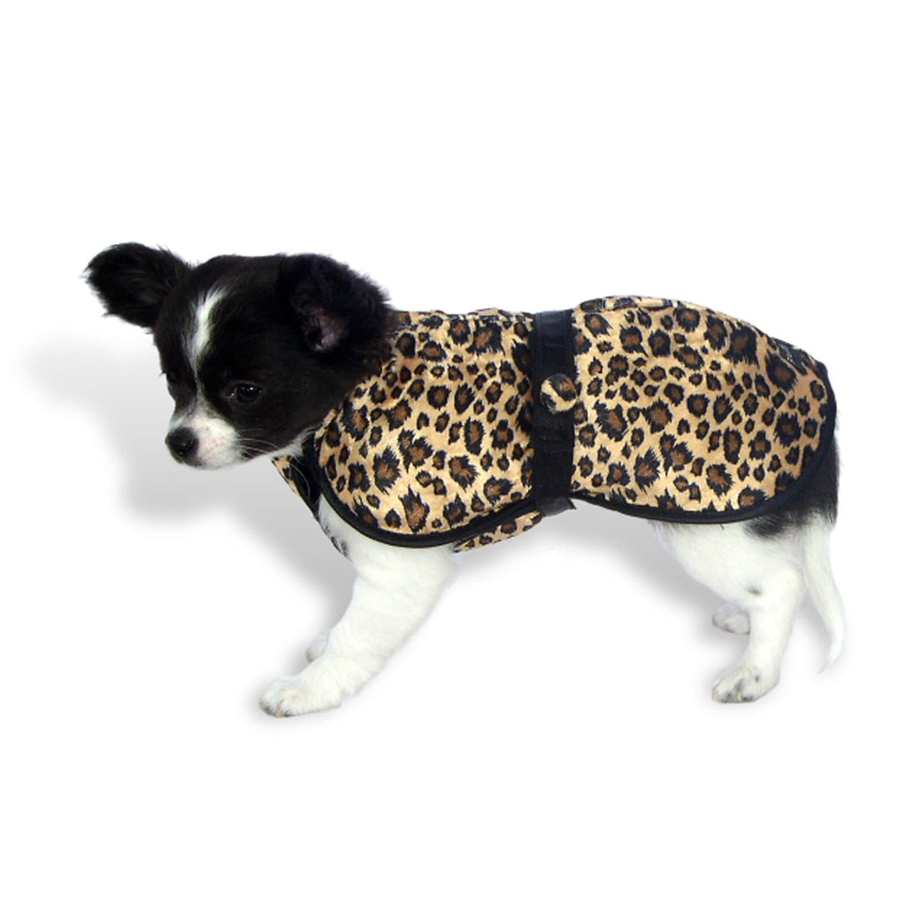 Leopard Coat – Puchi