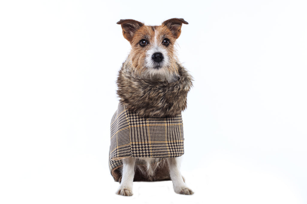 Terrier Tweed Coat – Puchi
