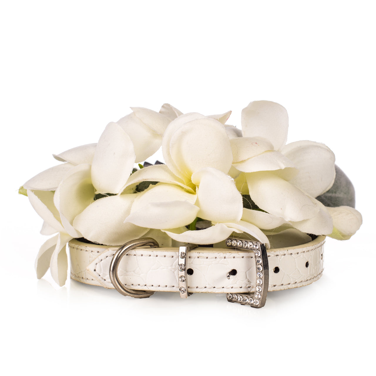 Dog Of Honour Collar – Puchi